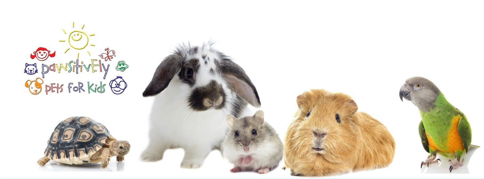 Pawsitively Pets - Pawsitively Pets Kids Camp